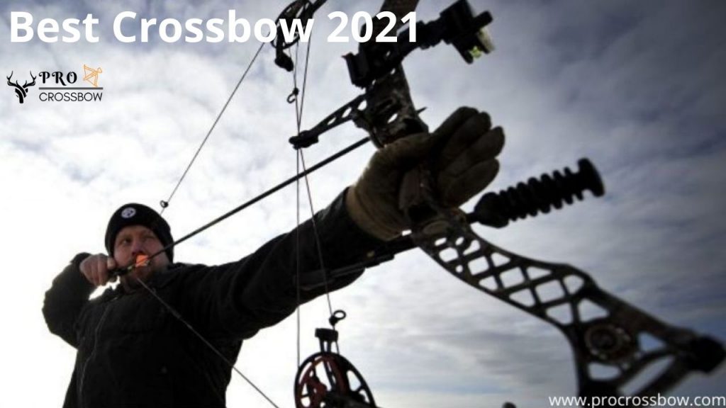 8 Best Crossbow To Hit The Mark * [2023 Guide & In-Depth Reviews]